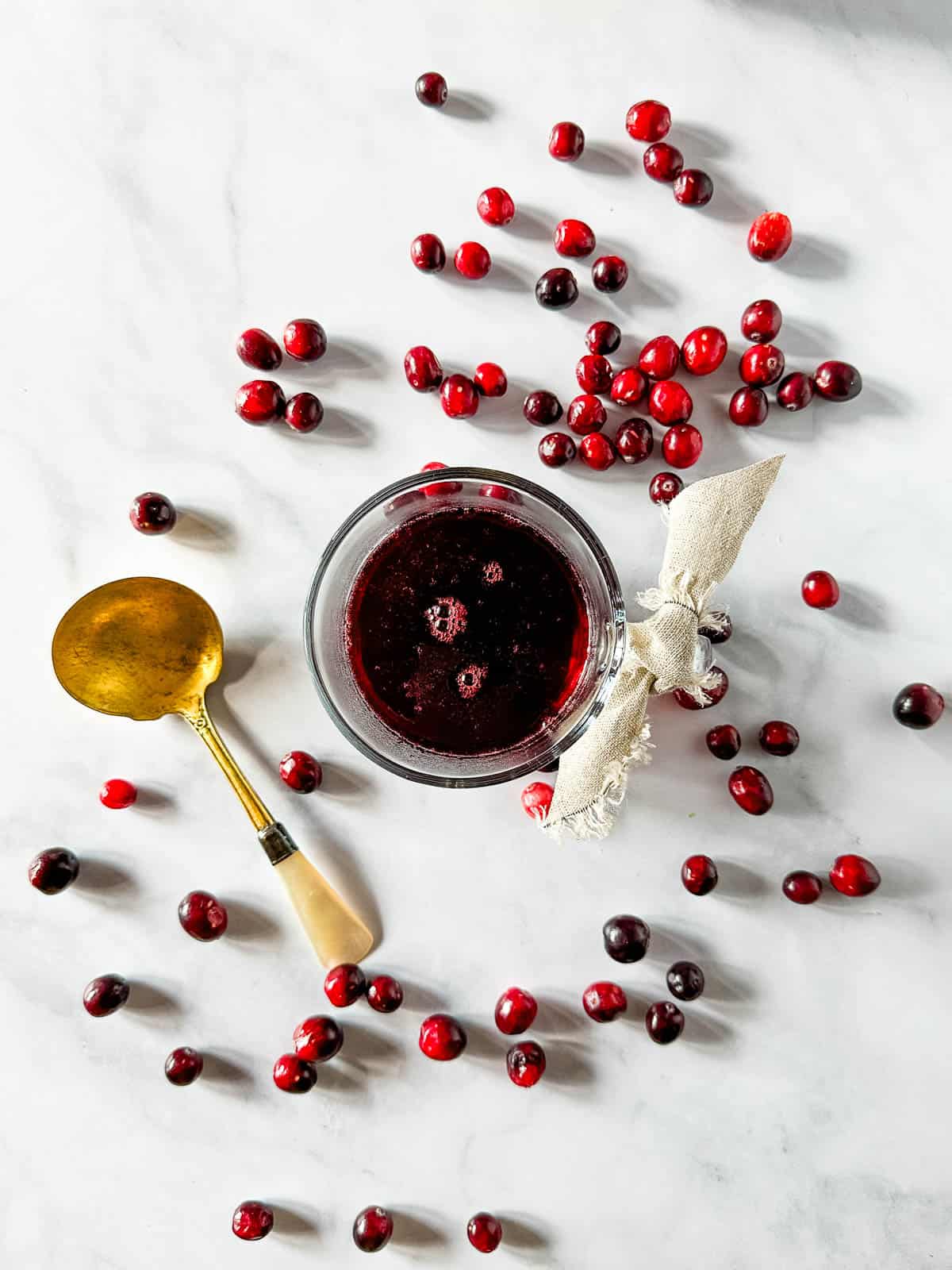 Cranberry Gastrique (French Sweet-and-Sour Sauce) – Natalie Marble Cooks