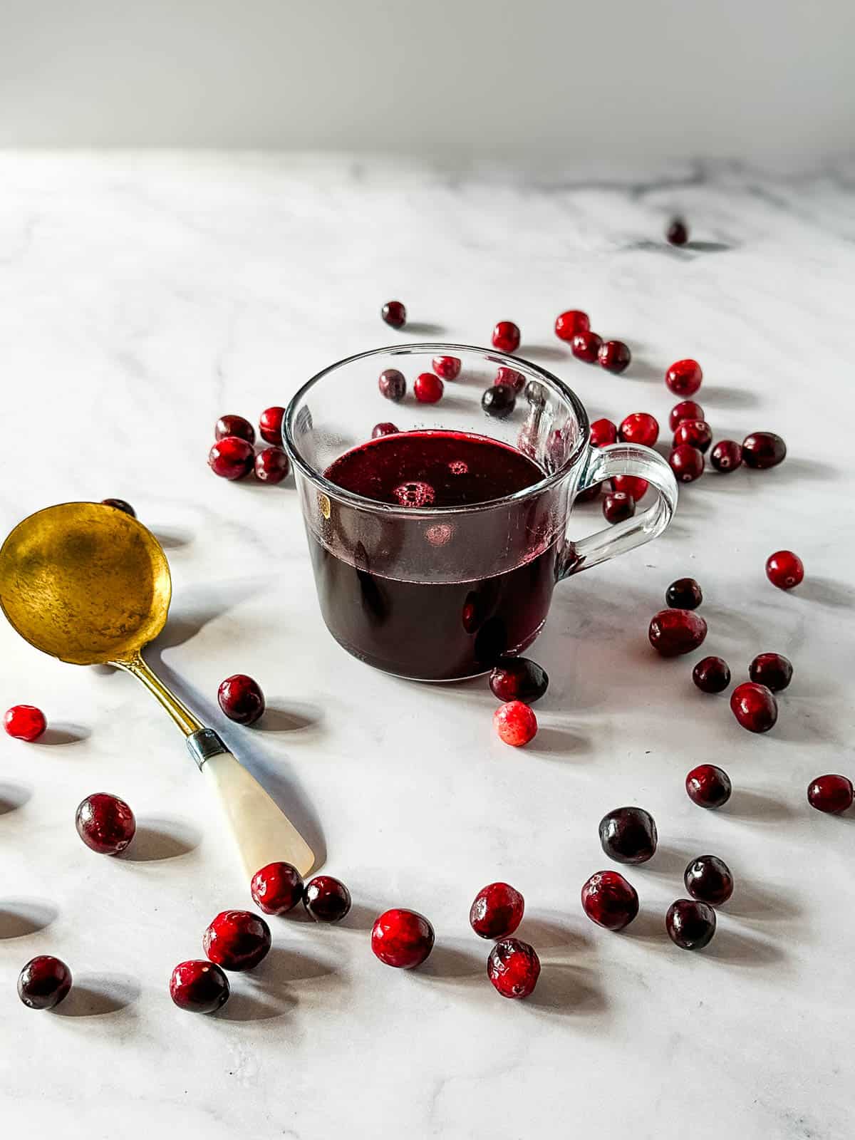 Cranberry Gastrique (French Sweet-and-Sour Sauce) – Natalie Marble Cooks