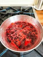 Cranberry Gastrique (French Sweet-and-Sour Sauce) – Natalie Marble Cooks